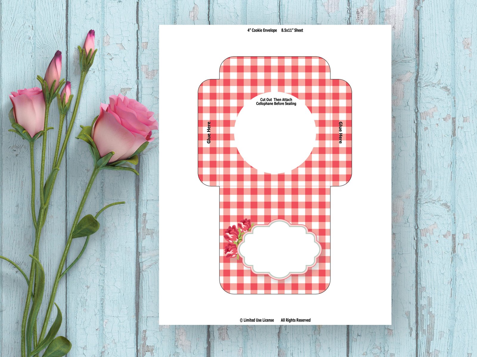 Picnic Birthday Party-Cookie Envelope - Its Your Party