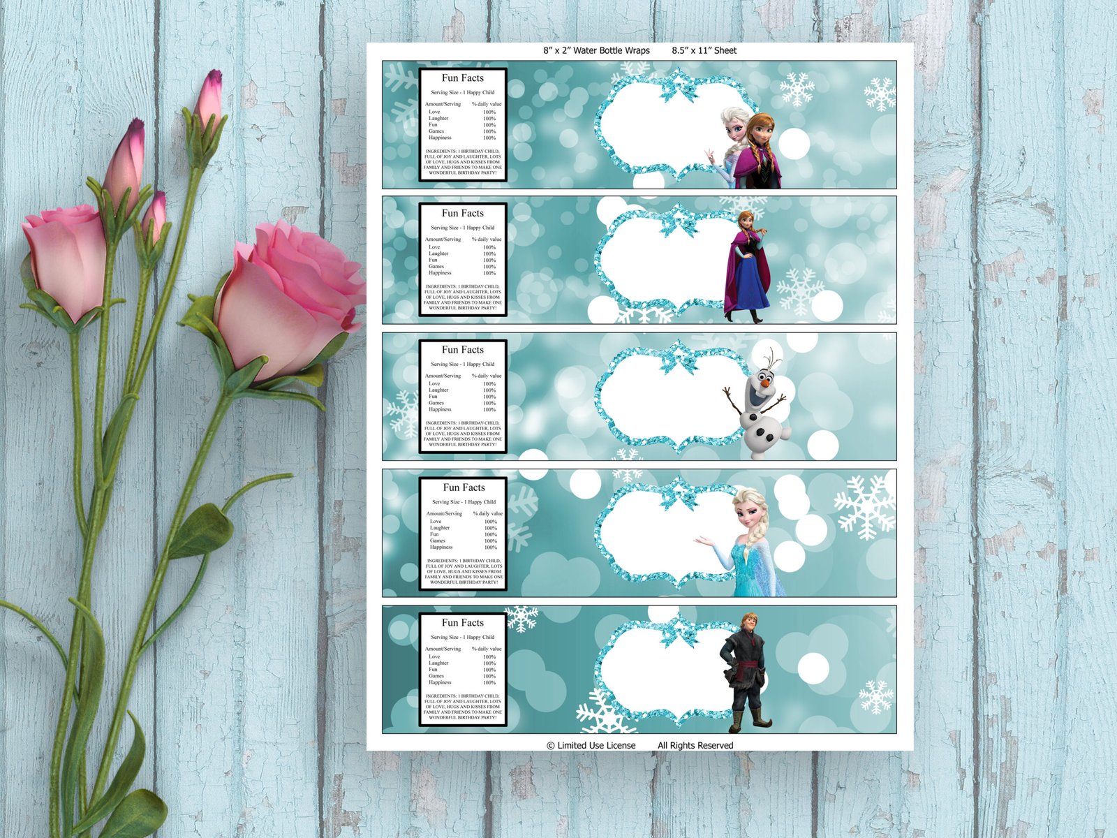 Frozen-Water Bottle Wrapper Sparkling Frame - Its Your Party
